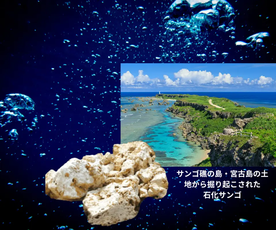 プロトングランプロ - リンパマッサージ専門店┃ほぐし処 RETREAT LUA