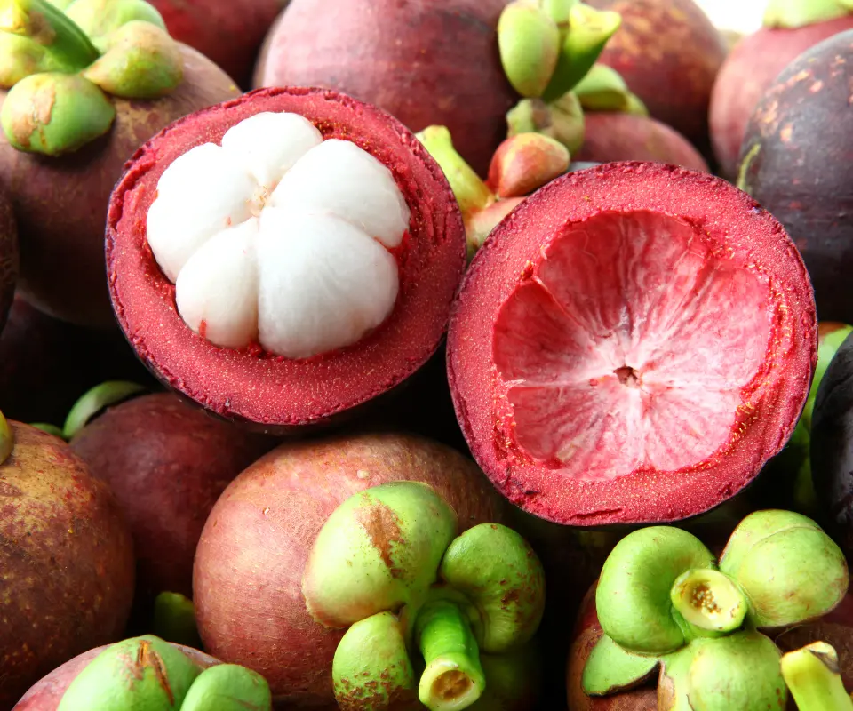 トウ クレンズ - リンパマッサージ専門店┃ほぐし処 RETREAT LUA